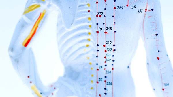 Upper Back Bolster (New & Improved)